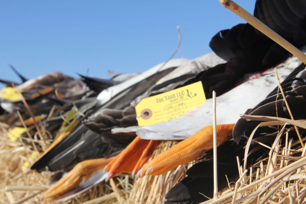 Original Toe Tags - Toe Tags LLC